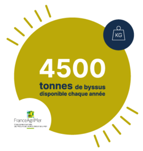 Le byssus de moule : propriétés, valorisation,…